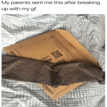 24 Random Things That Are Both Interesting And Hilarious