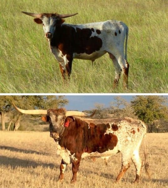 27 Clever And Funny Coincidences Perfectly Caught On Camera