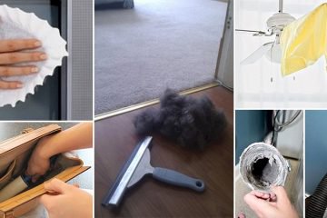 DIY & Gardening Awesome Inventions