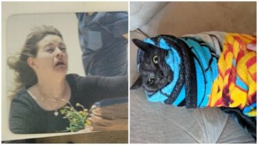 People Showing they Can Crack Up Jokes Without Trying