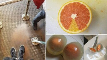 15 Photos Of Things You Don't See Everyday