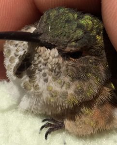 Random Things People Found That Will Make You Go Wow