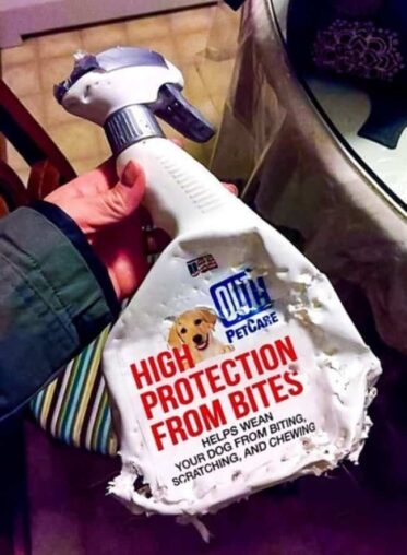 Photos Of Funny Irony That People Witnessed