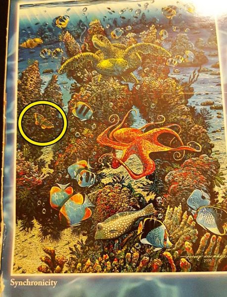 18 Photos of Silly Situations the World Has to Offer