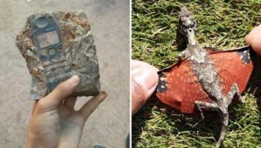 30 Times People Found Random And Interesting Things