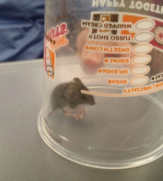 30 Times People Found Random And Interesting Things