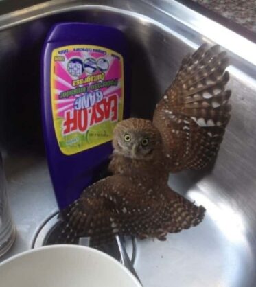 30 Times People Found Random And Interesting Things