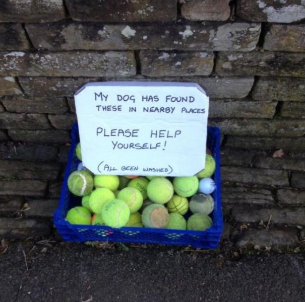 30 Times People Found Random And Interesting Things