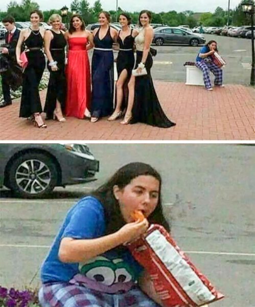 Funniest Photobombs Ever Captured on Camera That Will Give You Life