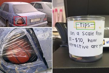 24 Random Things That Are Both Interesting And Hilarious