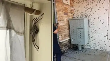 15 Terrifying Photos That Will Send Shivers Down Your Spine