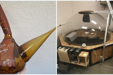 10 Weird Trends That Will Leave You Feeling Confused