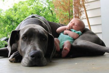 Adorable Photos Showing The Friendship Between Babies and Dogs