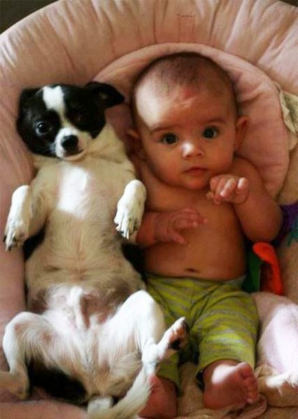 Adorable Photos Showing The Friendship Between Babies and Dogs
