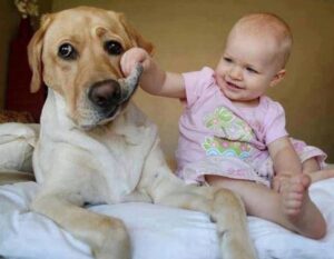 Adorable Photos Showing The Friendship Between Babies and Dogs