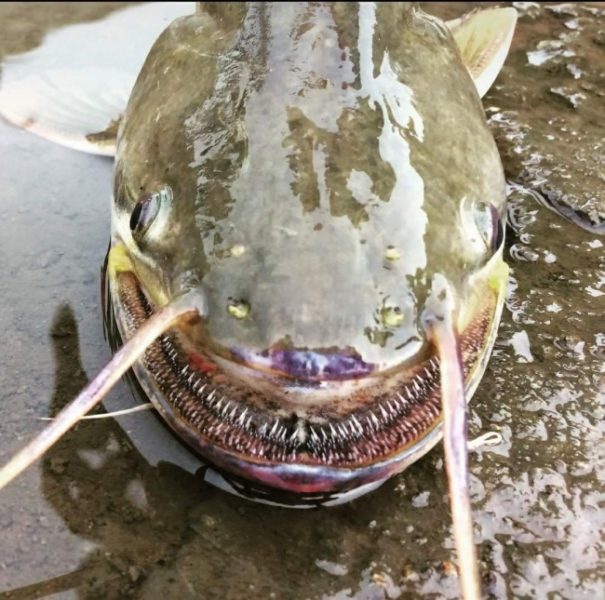 Scary Photos That Will Make You Cringe Every Time
