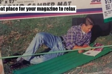 Funny Design Ideas That Will Make You Laugh Out Loud