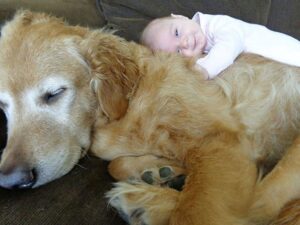 Adorable Photos Showing The Friendship Between Babies and Dogs