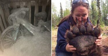 Weird Things That Will Leave A Lasting Imprint In Your Brain