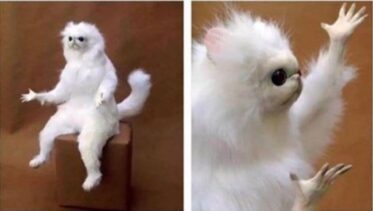 20+ Incredibly Relatable Situations Anyone Can Recognize