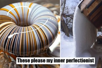 15 Pictures Of Perfection That Will Satisfy Every Idealist