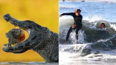 Impressive Photos You Will Need To Look Twice At