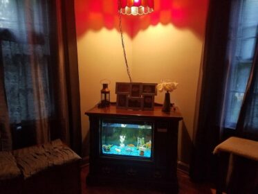 Photos of Strange Things You Can’t Take Your Eyes Off