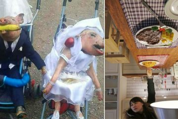 26 Shocking Photos That Will Leave You Confused