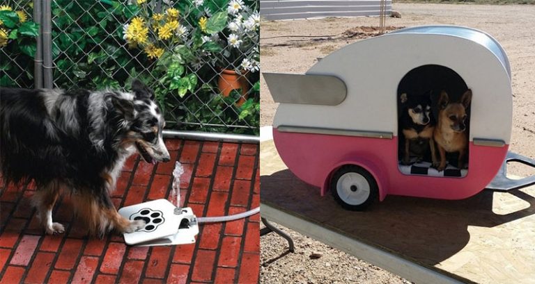A List Of Cool Dog Products Your Best Friend Will Love