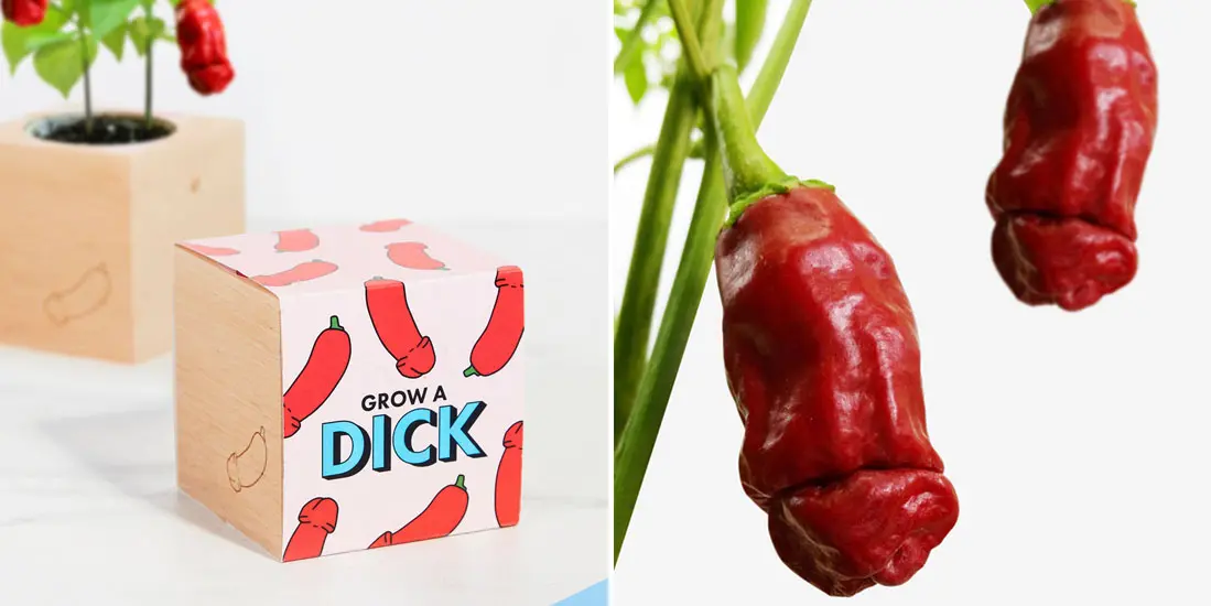 Spice Up Your Kitchen With A 'Grow A D*ck' Chili Plant