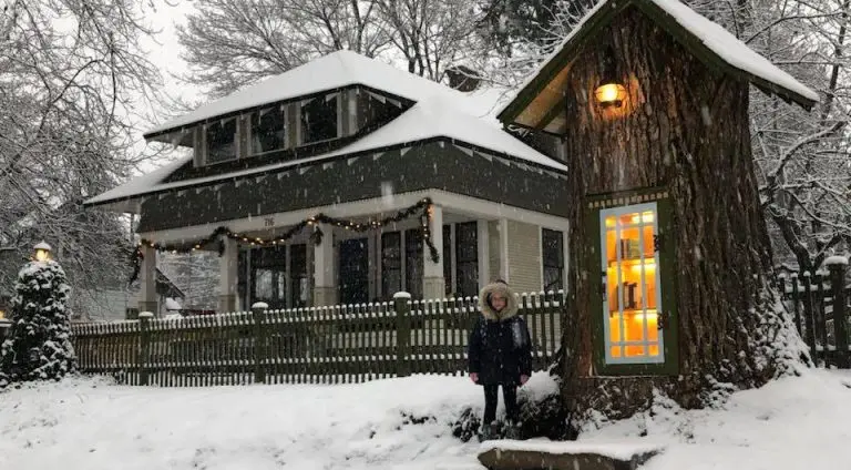 Librarian Transforms 110-Year-Old Tree Stump into Free Community Library