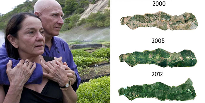 Sebastião Salgado and His Wife Lélia Spent 20 Years Planting 2 Million ...