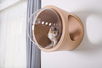 Floating Pet Bed