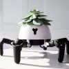 The Hexa Robot Will Chase The Sun To Keep Your Plant Happy