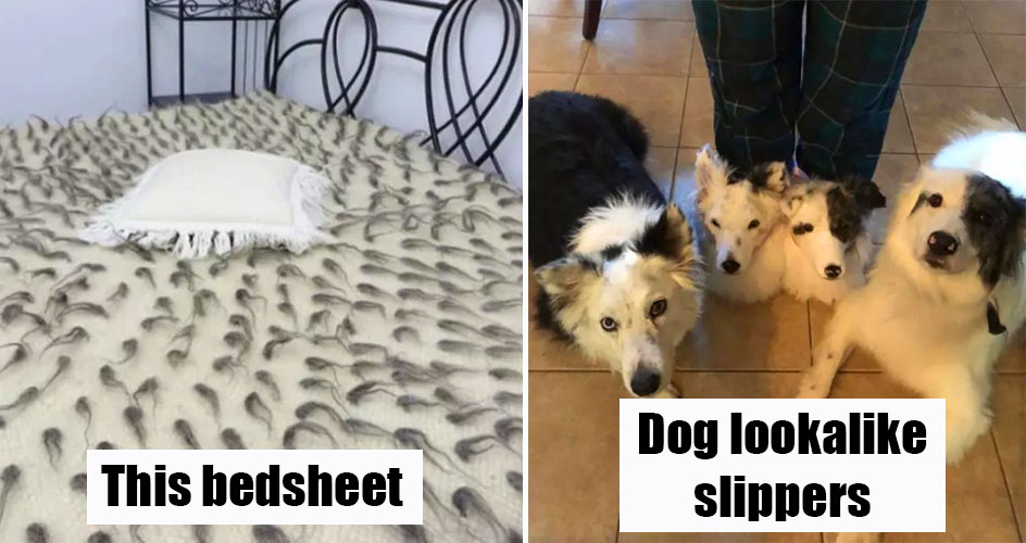 40 Times People Had Strange Ideas Yet They Worked Perfectly