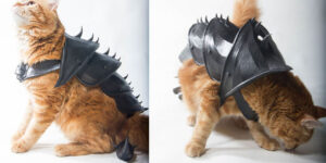 Man 3D Prints Armor For His Cat And It Looks Seriously Cool