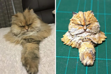 Sculptor Turns Popular Animal Photos Into Funny Meme Sculptures