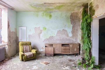 French Photographer Romain Thiery Takes Photos Of Nature Reclaiming ...