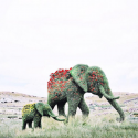 Digital Artist Luisa Azevedo Creatively Blends Unexpected Elements To ...