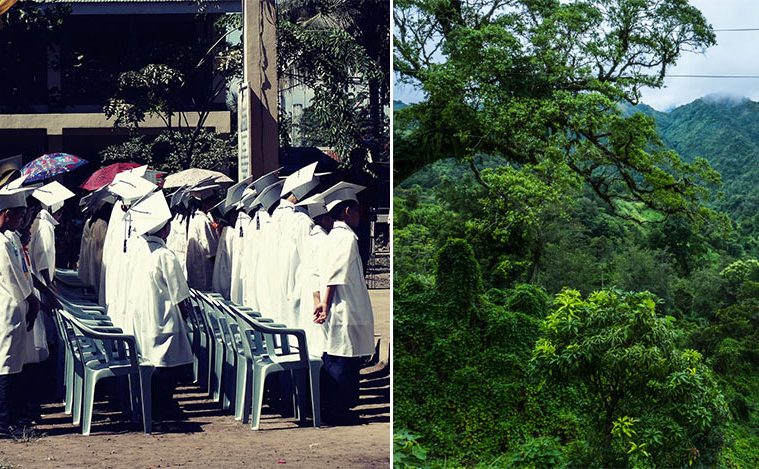 trees Archives - Awesome Inventions