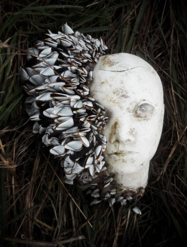 35 Fascinating Things People Have Found On The Beach