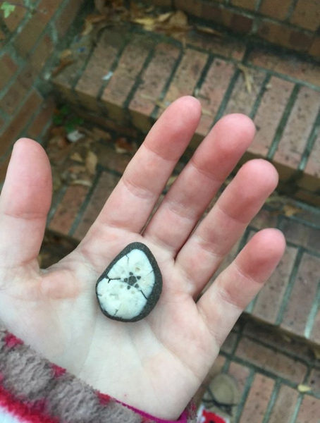 35 Fascinating Things People Have Found On The Beach