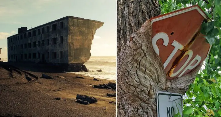 45 Instances Where Nature Won The Battle Against Civilization