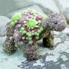This DIY Kit Allows You To Create Your Very Own Adorable Succulent Turtle