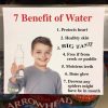 'Obvious Plant' Visits Real Stores And Leaves Its Hilarious Fake ...