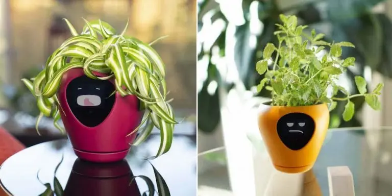 This Smart Planter Gives Your Plant A Face And It Shows You How It's ...