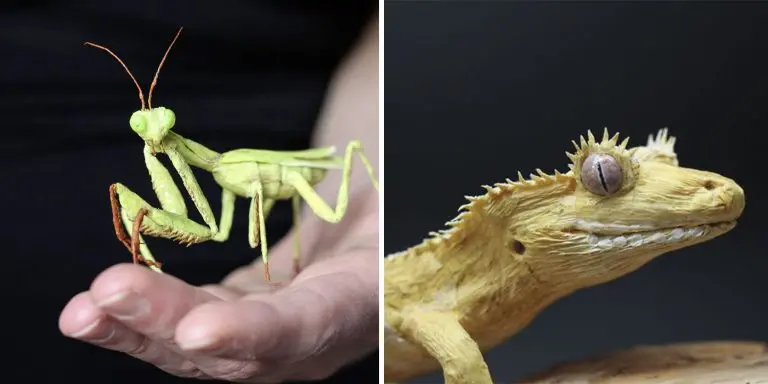 Artist Tina Kraus Creates Super Realistic Plants And Insects Using ...