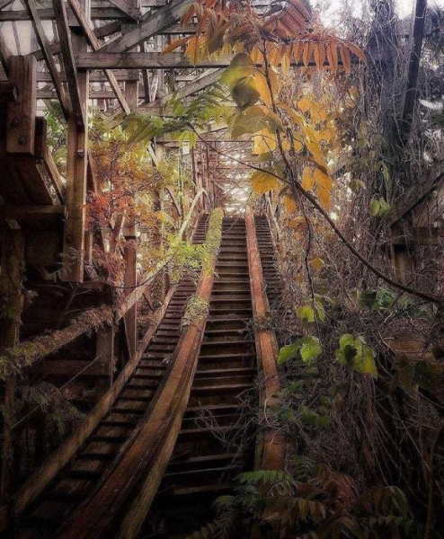 45 Instances Where Nature Won The Battle Against Civilization