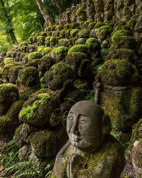 45 Instances Where Nature Won The Battle Against Civilization