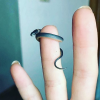 26 Baby Snake Pictures That Will Help You Conquer Your Fear With Their ...